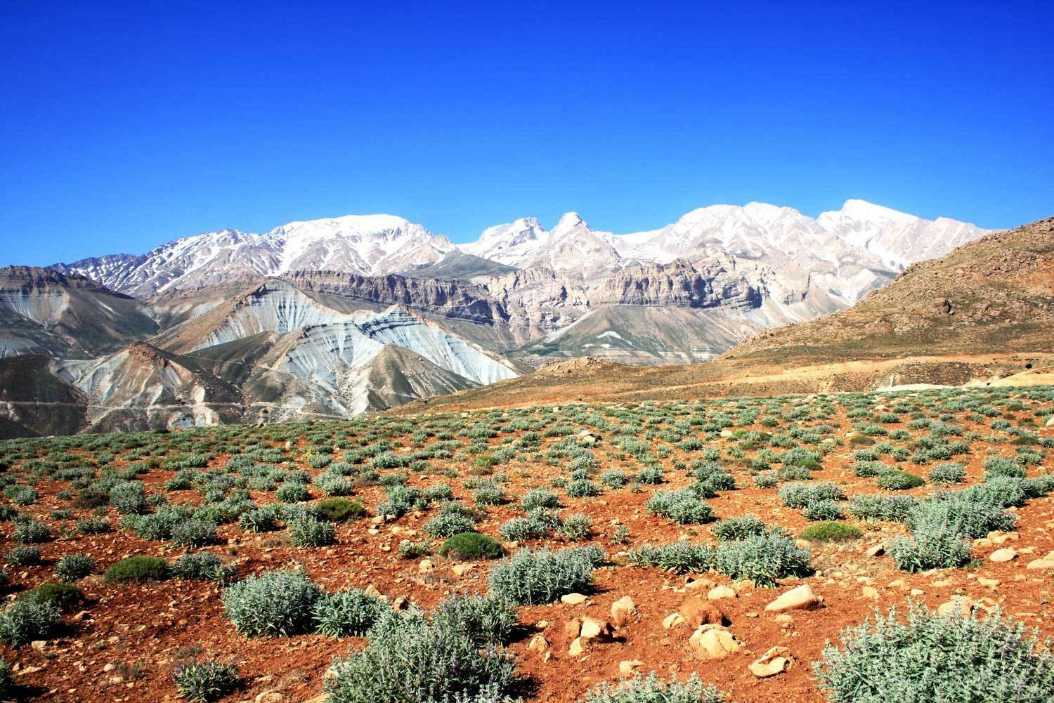 Dena Mountain | Iran Nomad Tour | Kalout Travel Agency