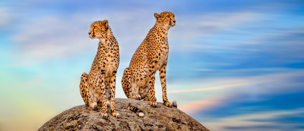 Iran National Park Tour | National Park | Iran Travel Agency kalouttour.com